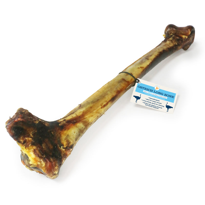 Ostrich Long Bone — JR Pet Products