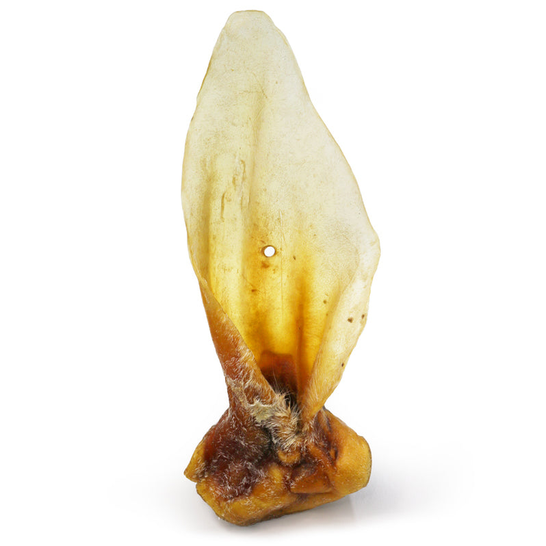 Mega Bull Ears — JR Pet Products