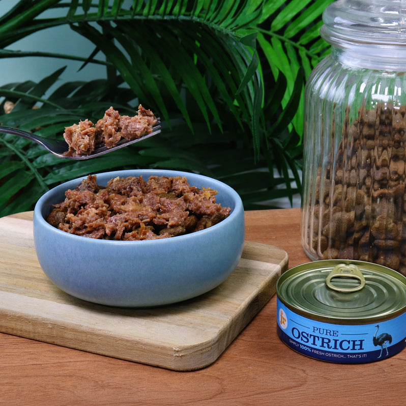 NEW Pure Topper & Mixer Variety 6 x 80g — JR Pet Products