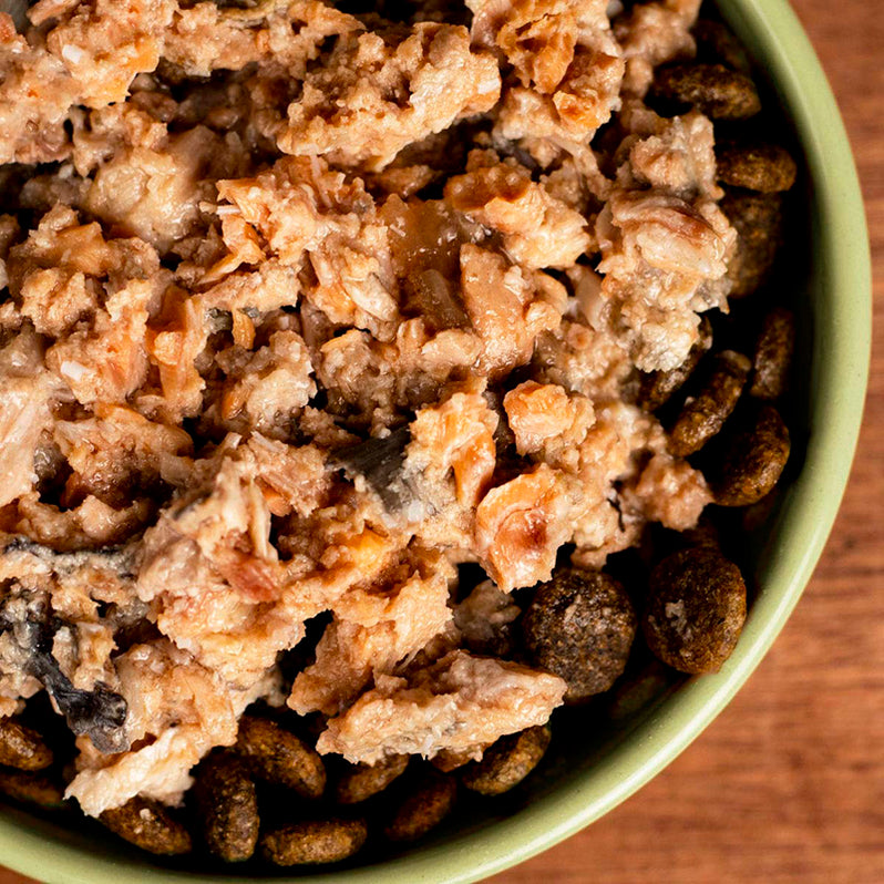 Pure Salmon Topper & Mixer 400g — JR Pet Products