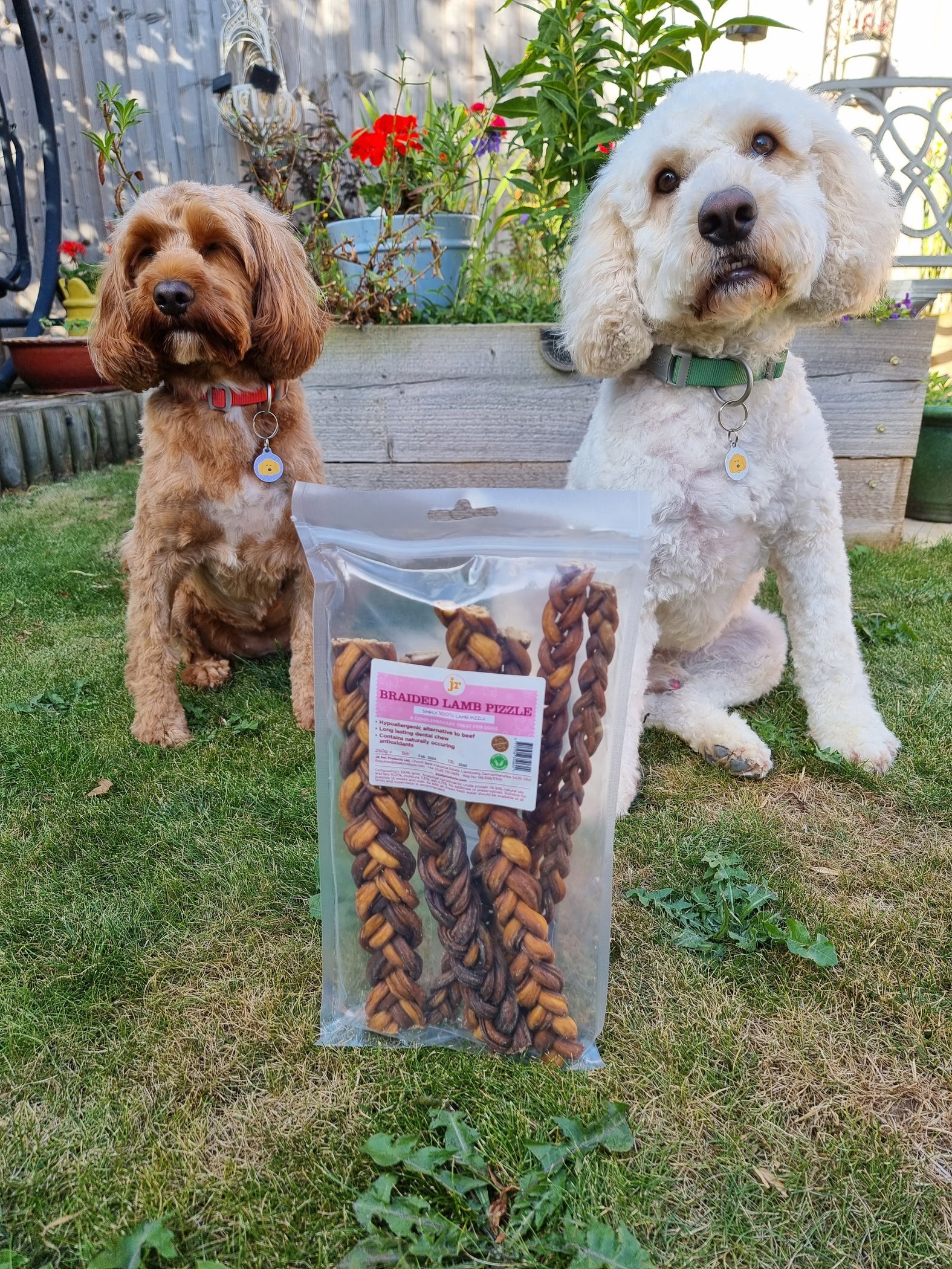 Premium Braided Lamb Pizzle — JR Pet Products