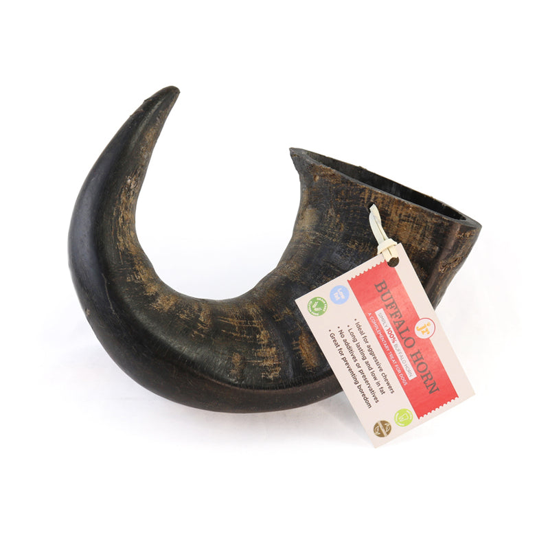 Whole Buffalo Horn — JR Pet Products