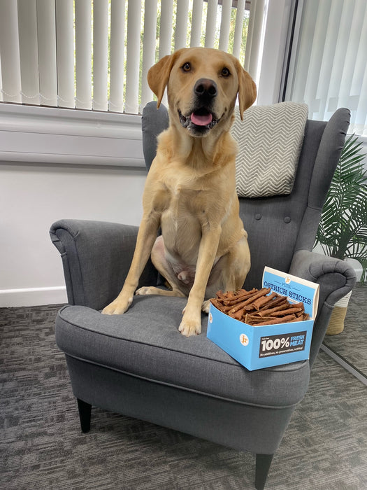 Pure Ostrich Sticks 1kg — JR Pet Products