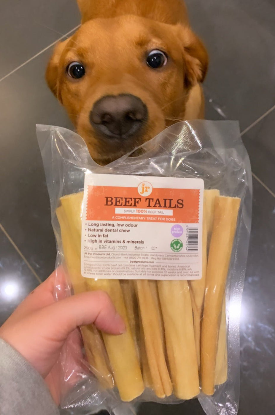 Premium Beef Tails — JR Pet Products